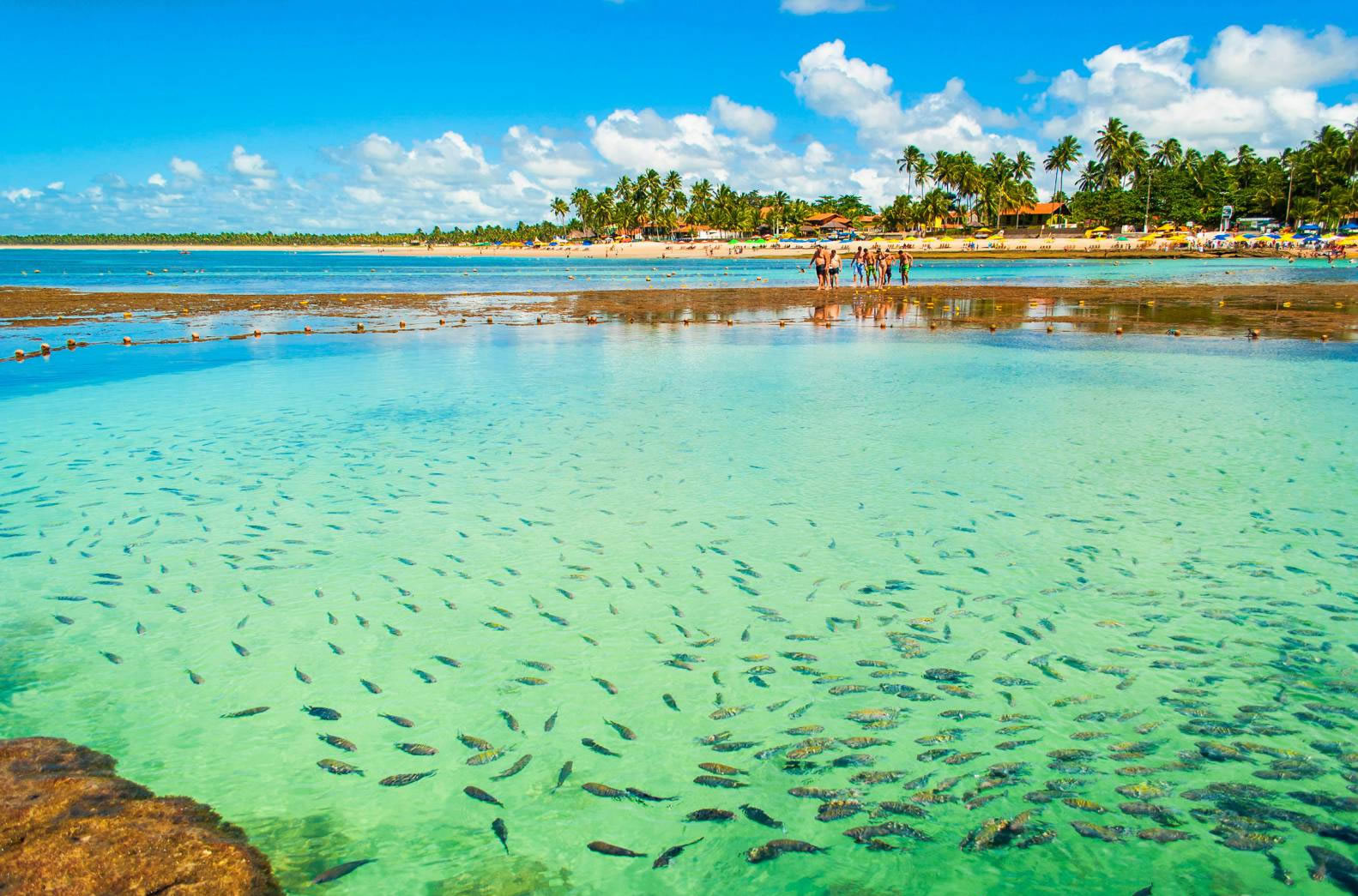 As 10 Praias Mais Bonitas do Brasil – Rumo ao Mar